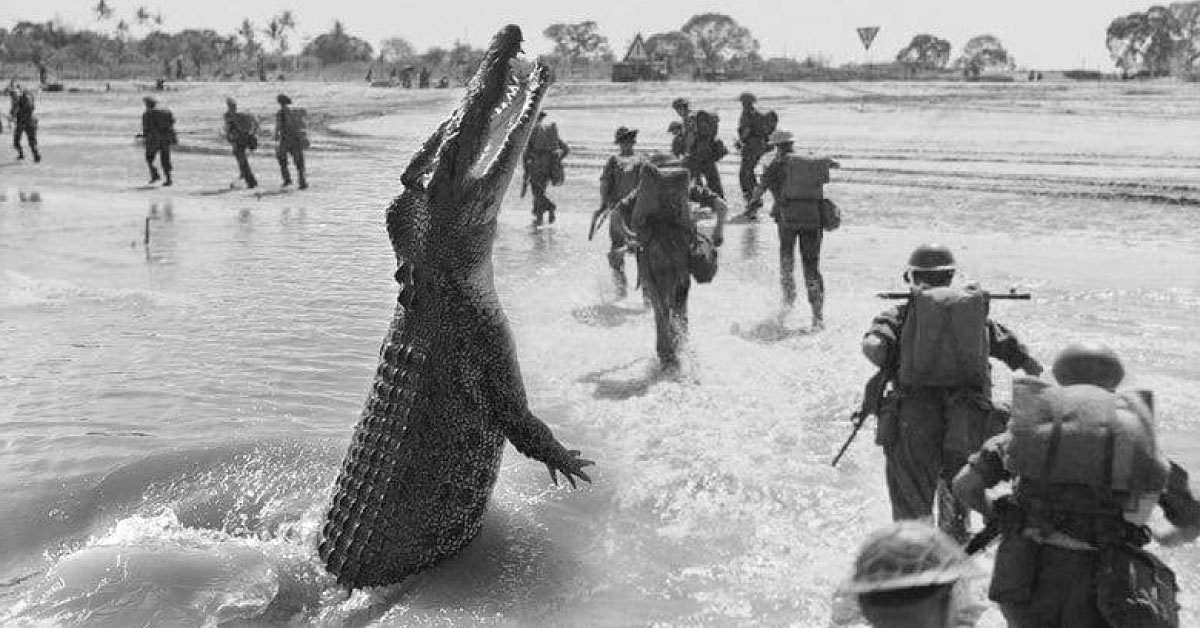 La historia de la masacre causada por cocodrilos en la isla Ramree - Allapp